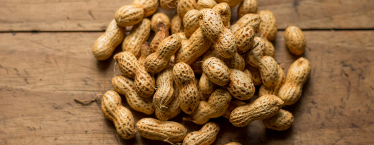 ¿El maní sirve para hacer dinamita? – deAutor Blog